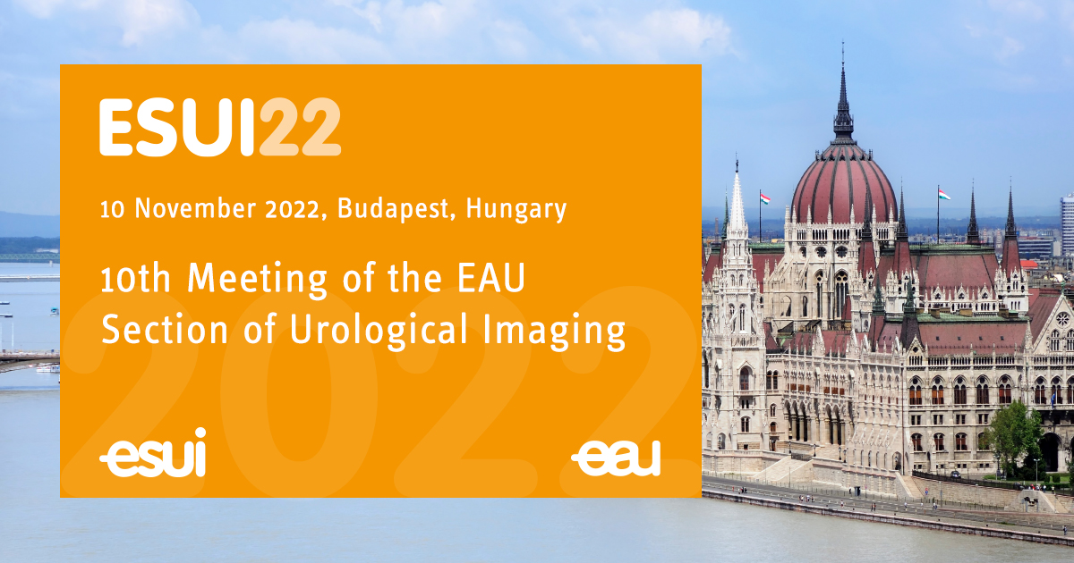 News Archives - ESUI